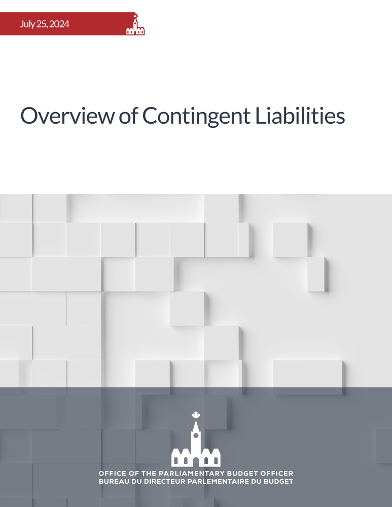 Overview of Contingent Liabilities